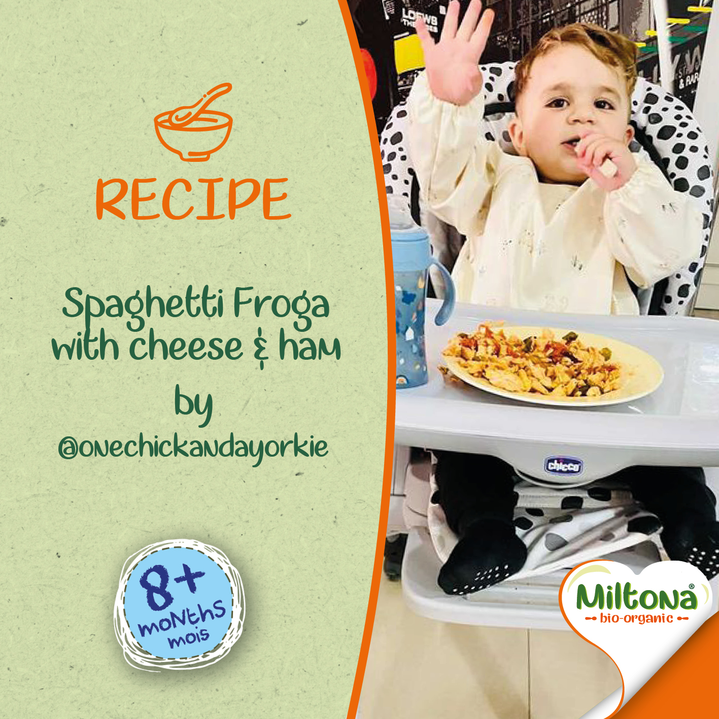 Miltona Spaghetti Froga with cheese and ham - M&Z p.l.c.